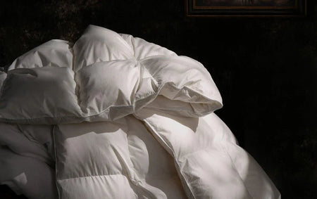 Down vs Feather: What is the difference? – Linens Delight